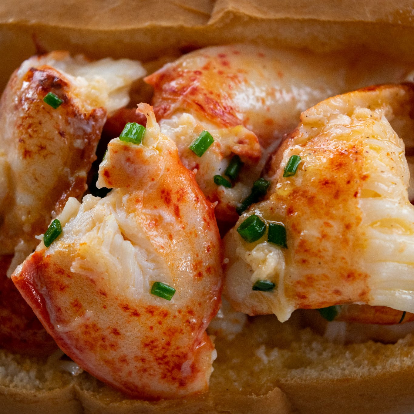 Fresh Seafood Delivery Near Me | North Coast Seafoods